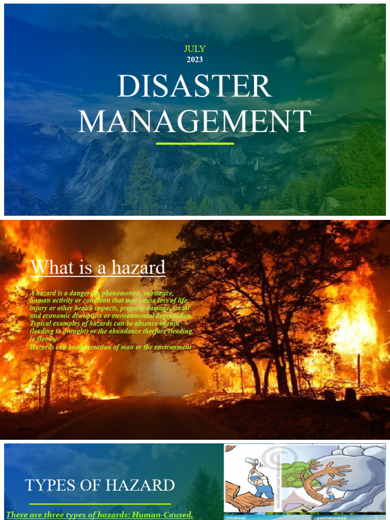 Disaster Management | PDF | Emergency Management | Risk