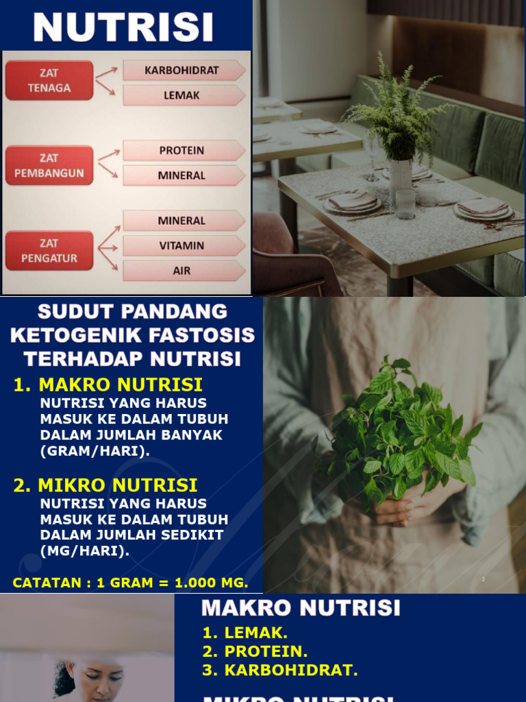 Nutrisi KF | PDF