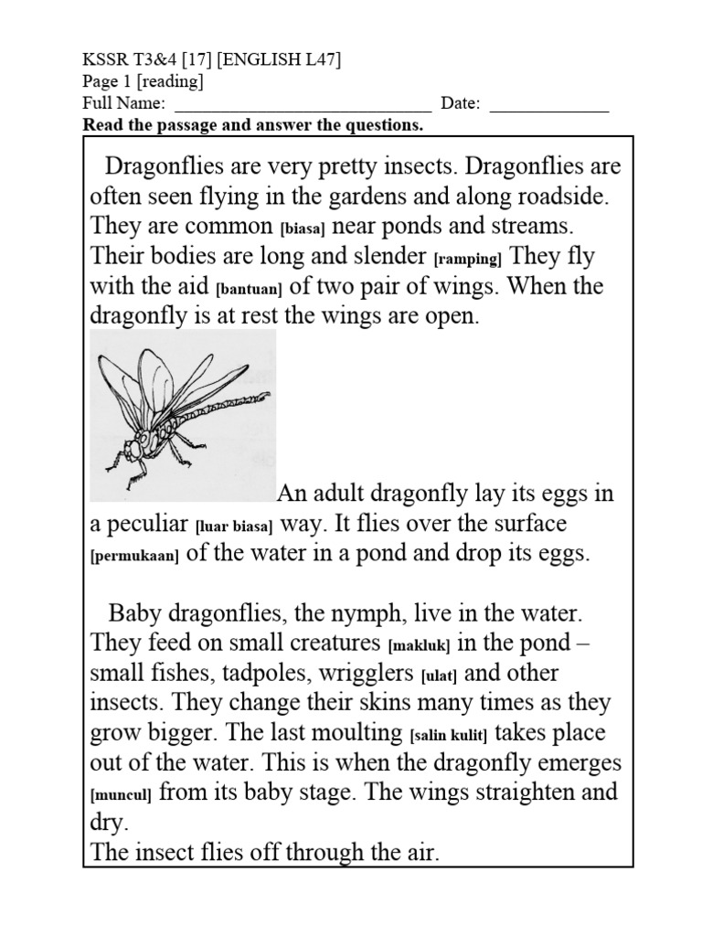 KSSR T3&4 (17) (English L47) | PDF | Dragonfly | Fly