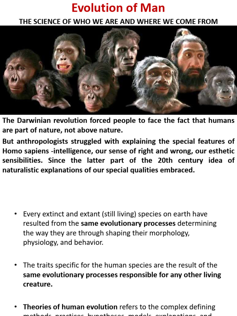 Evolution Compressed | PDF | Hominini | Hominidae