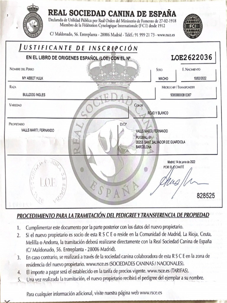 Documento Escaneado 3 | PDF