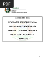 amabizo-summary-applied-african-language-zulu | PDF