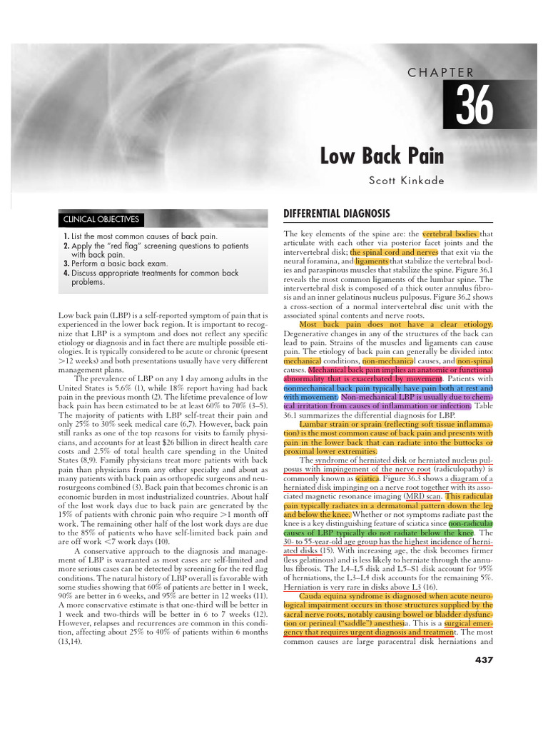 Back Pain | PDF | Low Back Pain | Back Pain