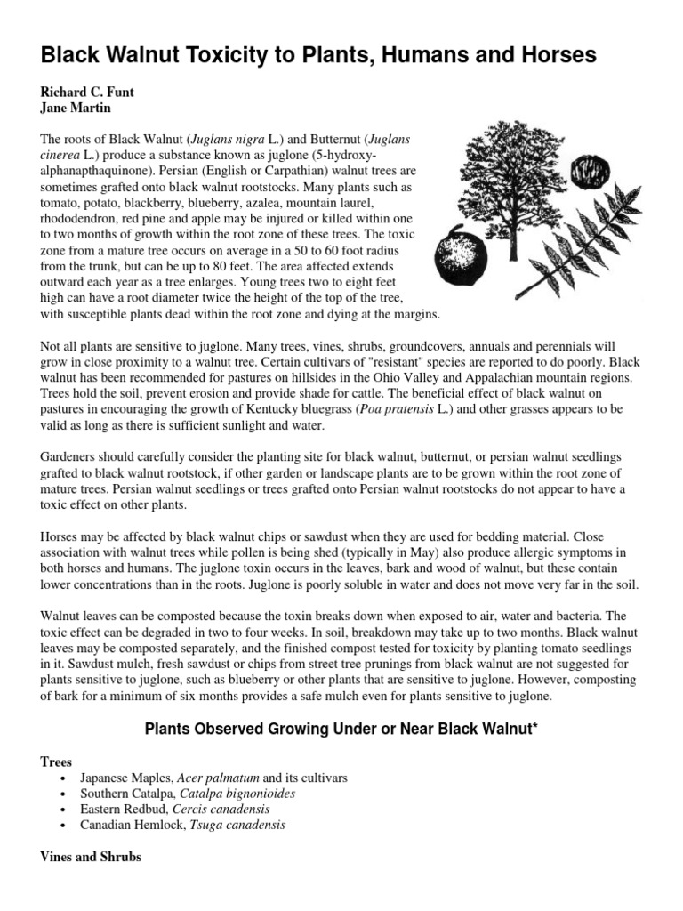 Black Walnut Toxicity To Plants | PDF | Trees | Walnut
