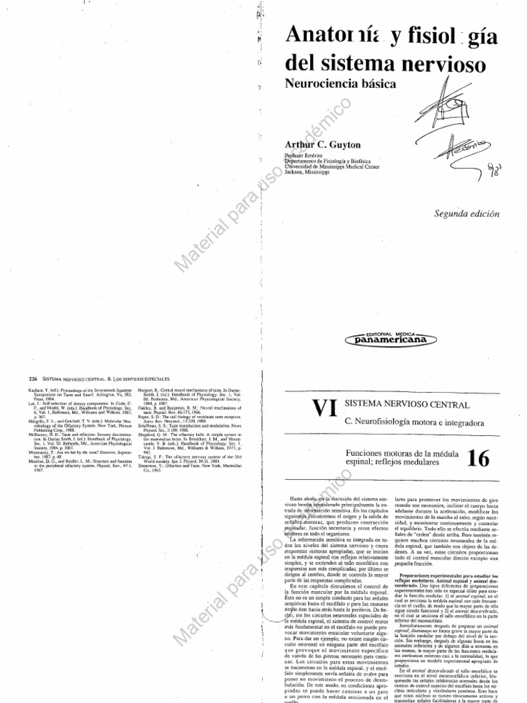 Guyton, Arthur C. Anatomía y Fisiología Del Sistema Nervioso. Parte 3 | PDF