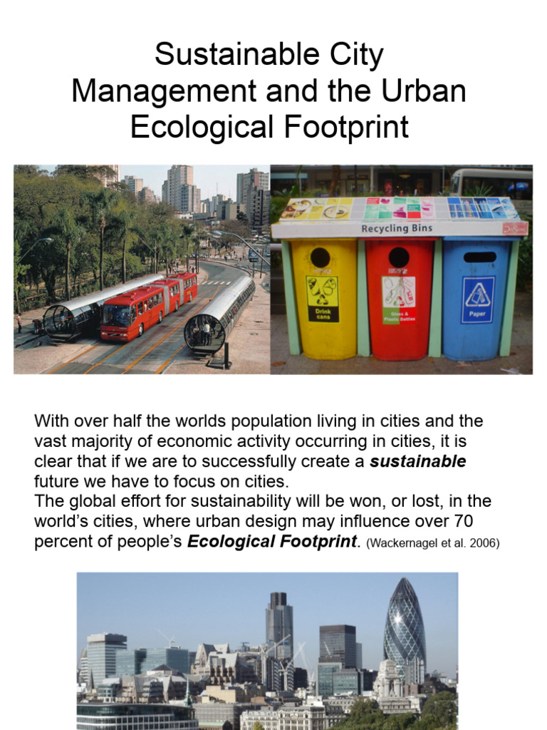 Sustainable Cities | PDF | Sustainability | Sustainable City