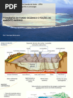 Classificação e Características do Ambiente Bentônico | PDF | Biologia ...