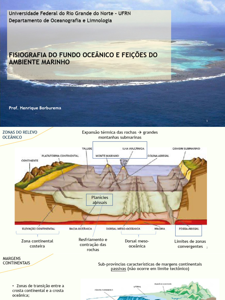 Fisiografia do Relevo Oceânico | PDF | Fonte hidrotermal | Plataforma ...