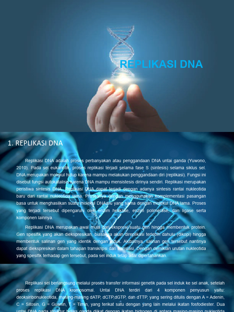 Dna Kelompok 3 | PDF