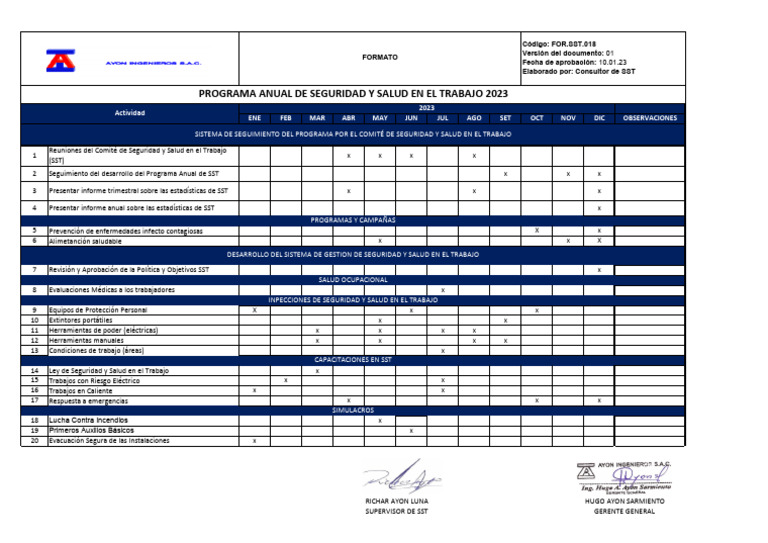 Programa Anual de SST 2023 | PDF | Seguridad y salud ocupacional | Salud pública