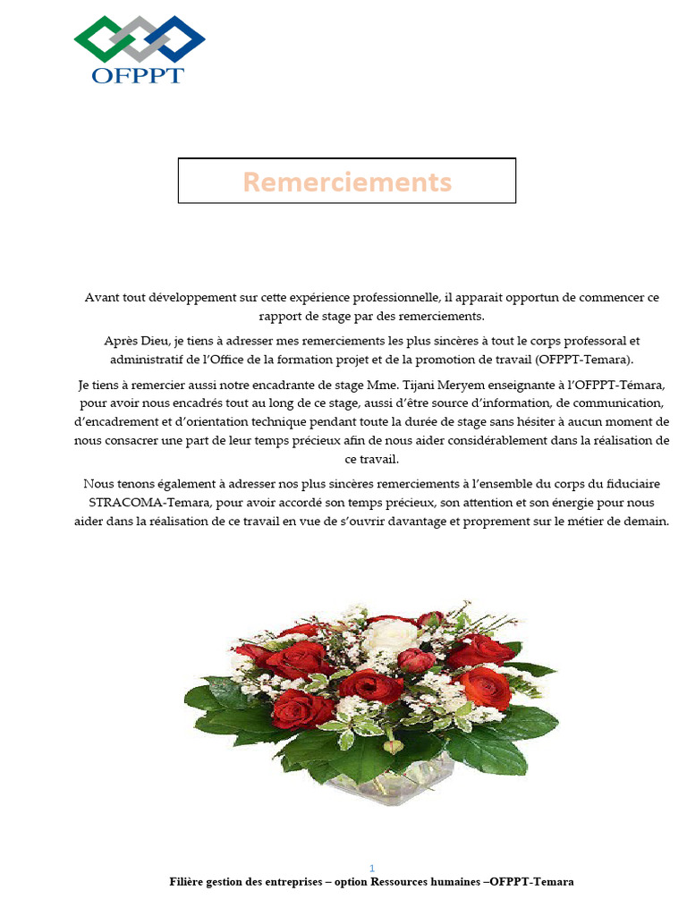Rapport de stage en ressources humaines OFPPT | PDF | Gestion des ...
