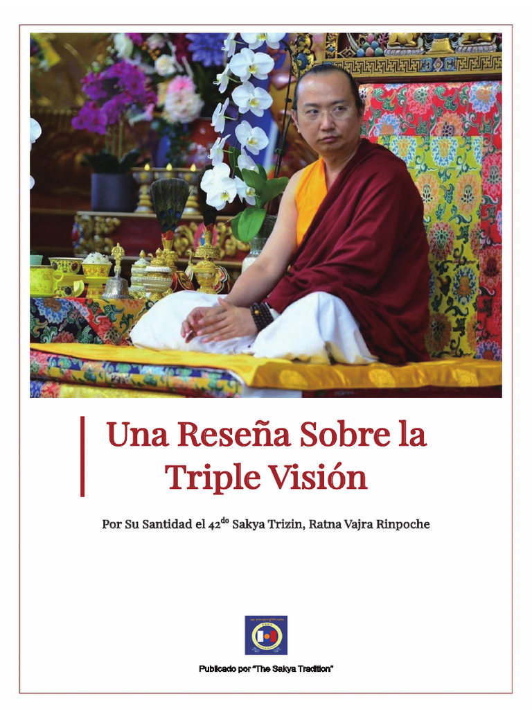 Una Resena Sobre La Triple Vision | PDF