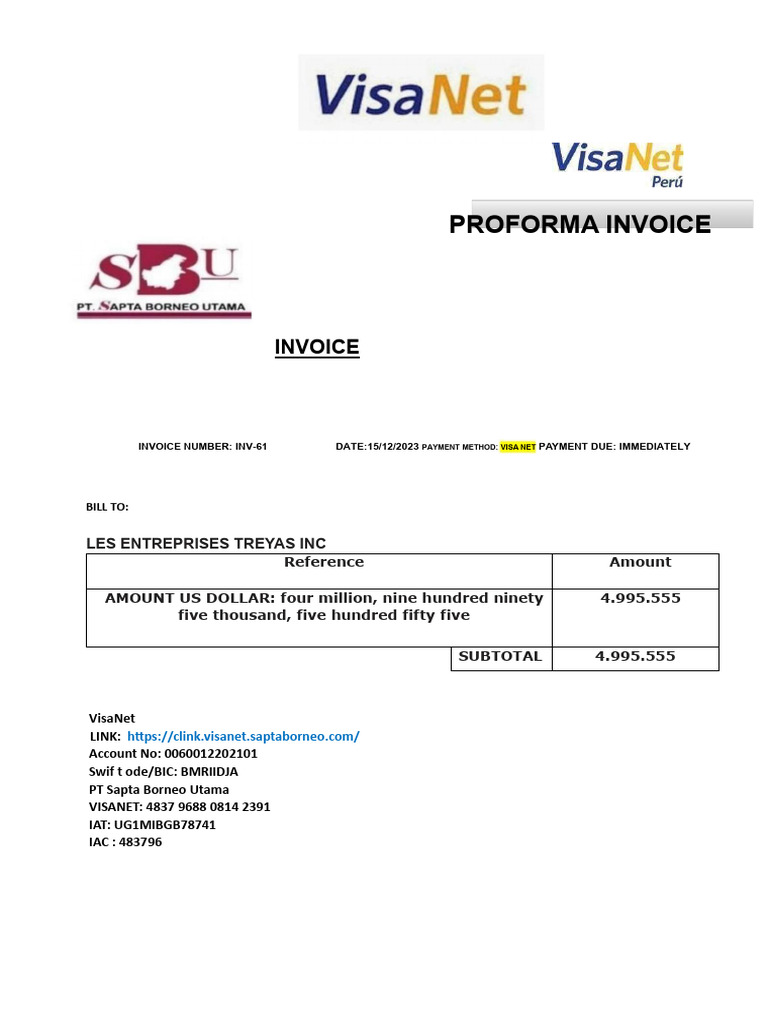 Invoice Visa Net Nr. 61 9 | PDF