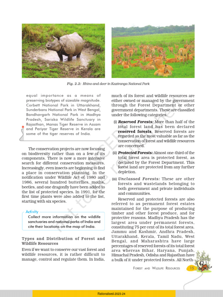 Rhino and Deer in Kaziranga National Park: Unclassed Forests | PDF