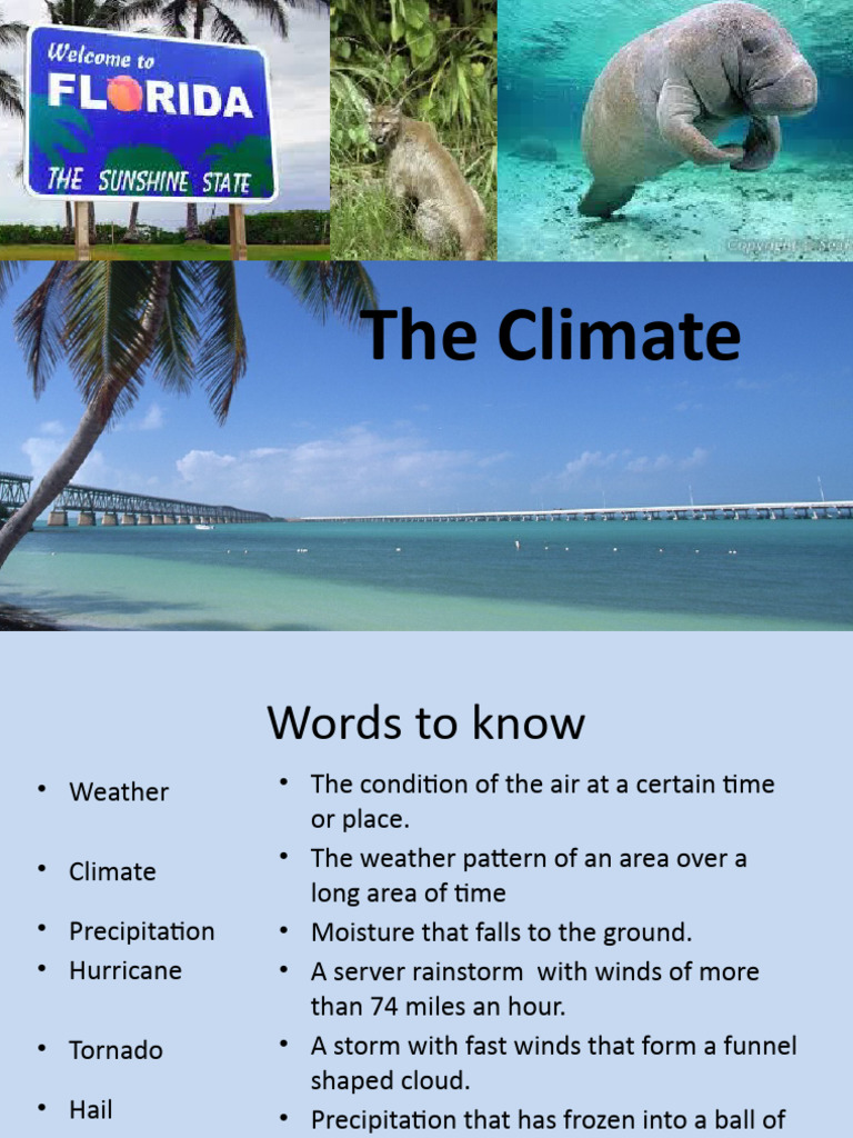 Florida: The Climate | PDF