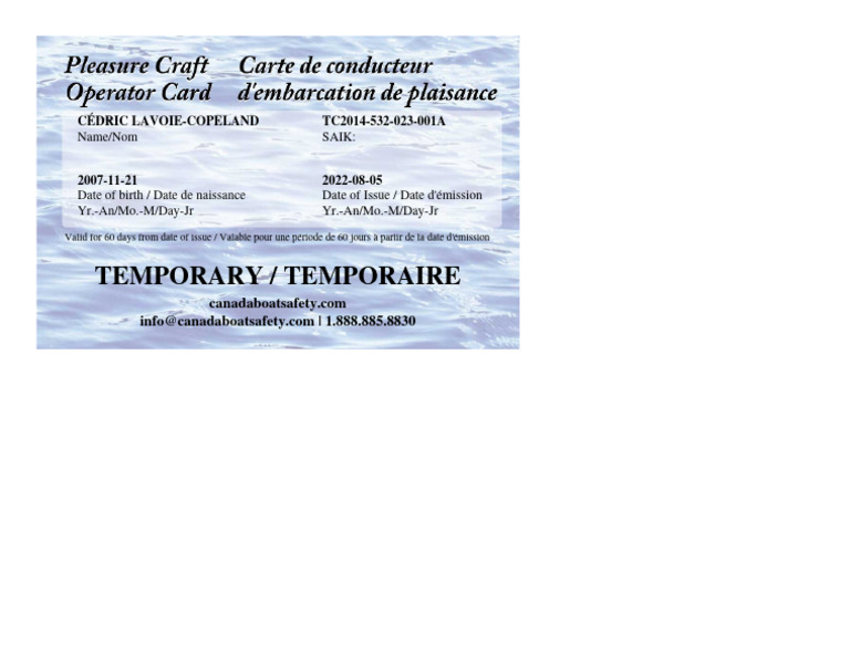 Temporary License | PDF