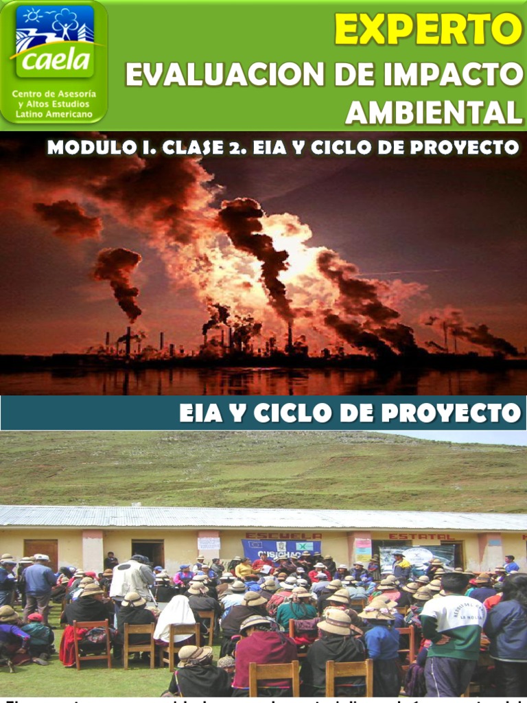 Modulo I. Clase 2. Eia y El Ciclo de Proyectos | PDF | Evaluación de ...