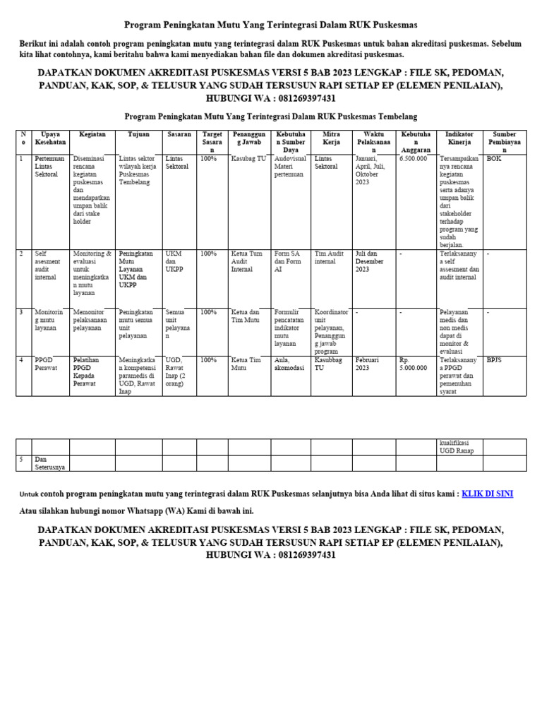 Program Peningkatan Mutu Yang Terintegrasi Dalam RUK Puskesmas | PDF