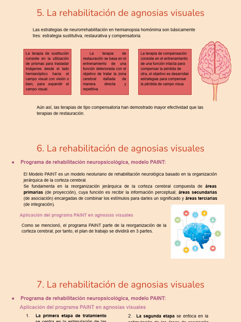 La Rehabilitación de Agnosias Visuales | PDF