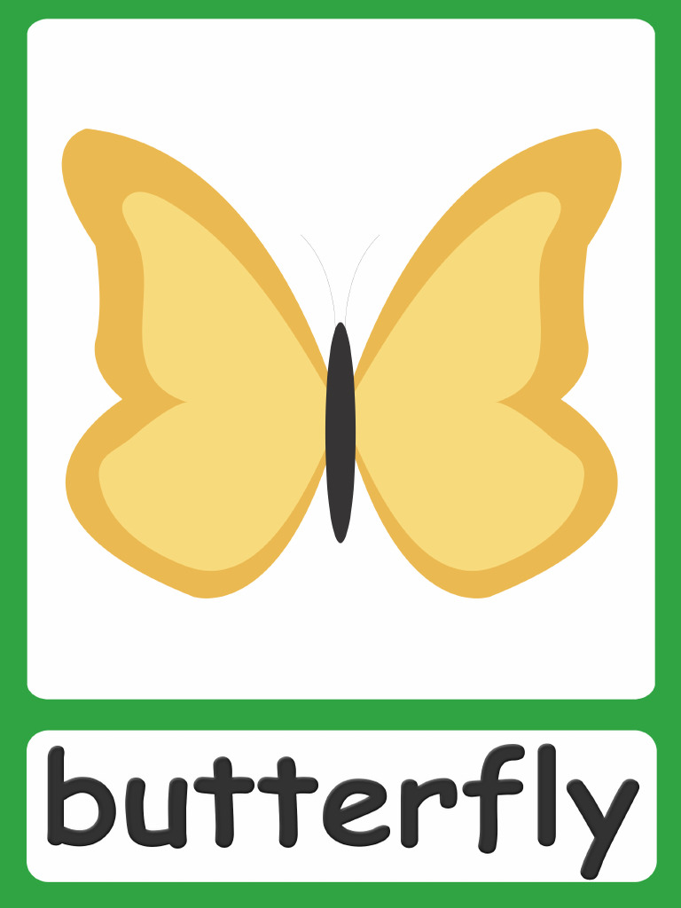 004 Bug Flashcards Butterfly | PDF