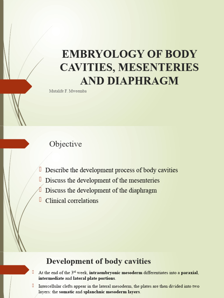 Embryology of Body Cavities, Mesenteries and Diaphragm | PDF ...