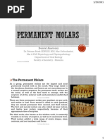 The Maxillary Molars Anatomy - Color Coded | PDF | Dentistry | Tooth
