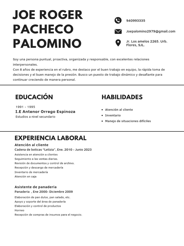 CV - Joe Pacheco Palomino | PDF