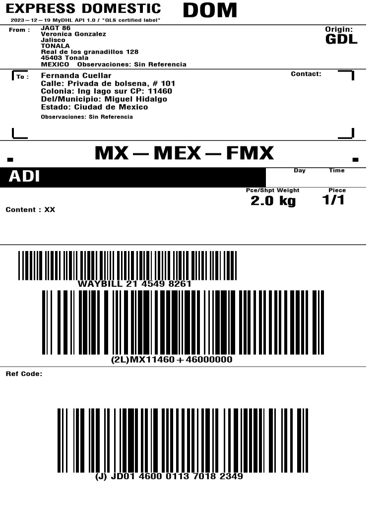1906 DHL Express Domestic | PDF