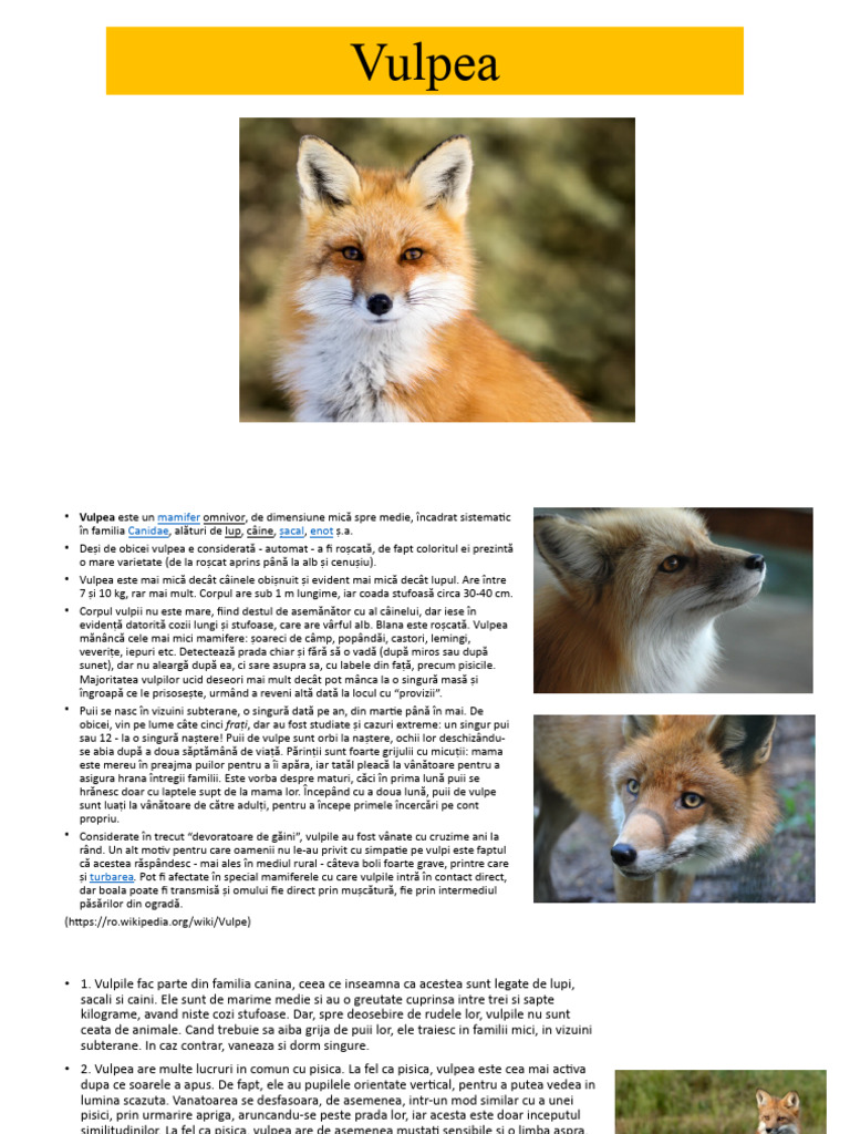 Vulpea | PDF