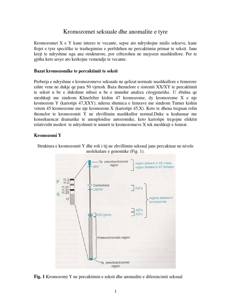 11-Anomalite e Kromozomeve Gjinore (Leksion) | PDF