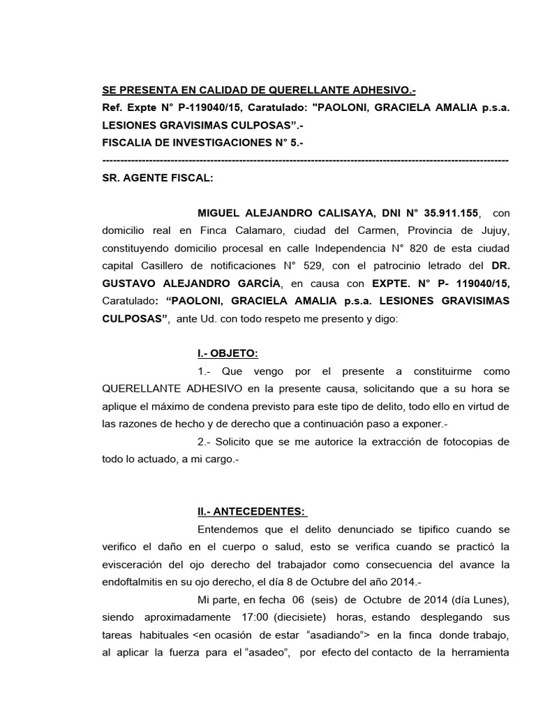 Modelo de Querella | PDF | Fiscal