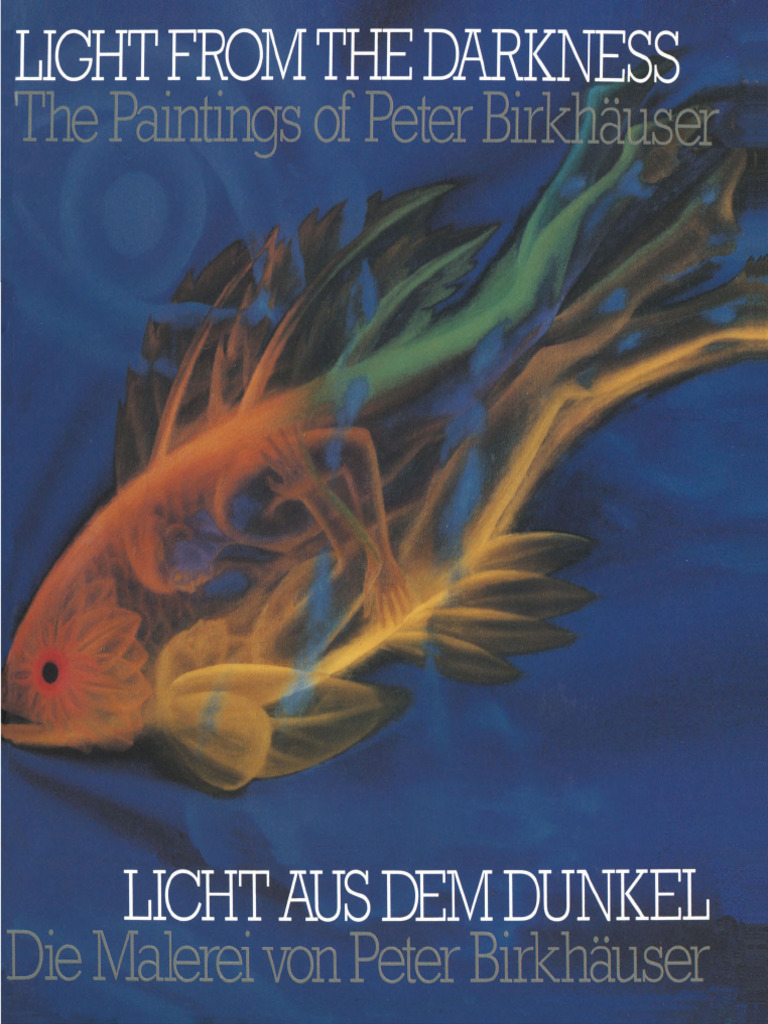 Light From The Darkness - Licht Aus Dem Dunkel - The Paintings of Peter Birkhäuser - Die Malerei ...