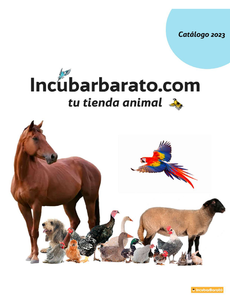 Catalogo Incubarbarato 2023 | PDF
