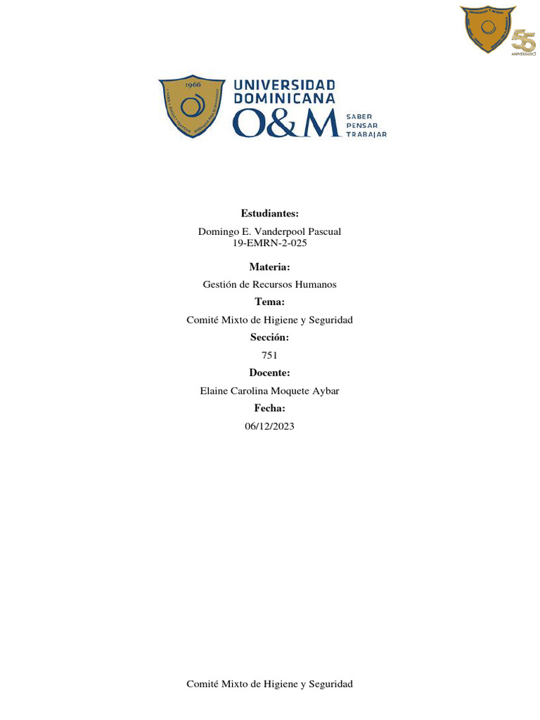 CMSST Domingo Vanderpool 19-EMRN-2-025 | PDF | Seguridad y salud ...