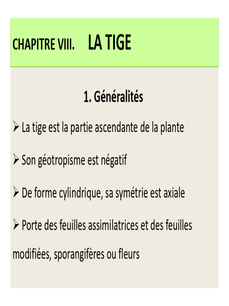 Anatomie et Morphologie de la Tige | PDF | Tige (Plante) | Physiologie ...