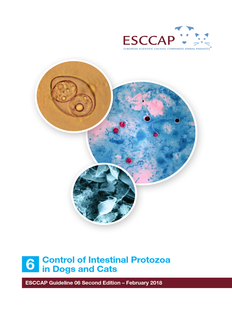 Control of Intestinal Protozoa in Pets | PDF | Infection | Clinical ...