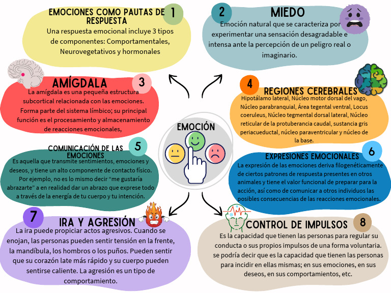 EMOCIONES ESQUEMA LIBRETA | PDF | Las emociones | Hipotálamo
