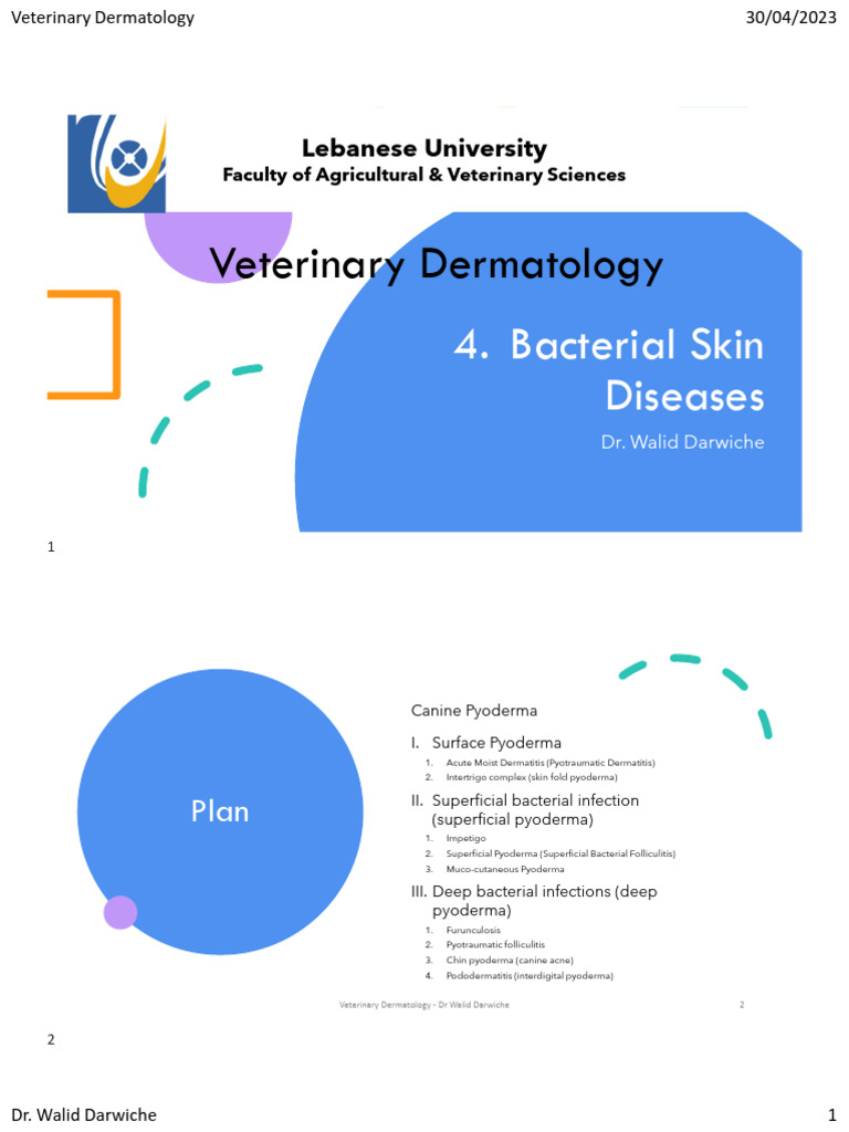 2023-2024 (04) Bacterial Skin Diseases | PDF | Dermatitis ...