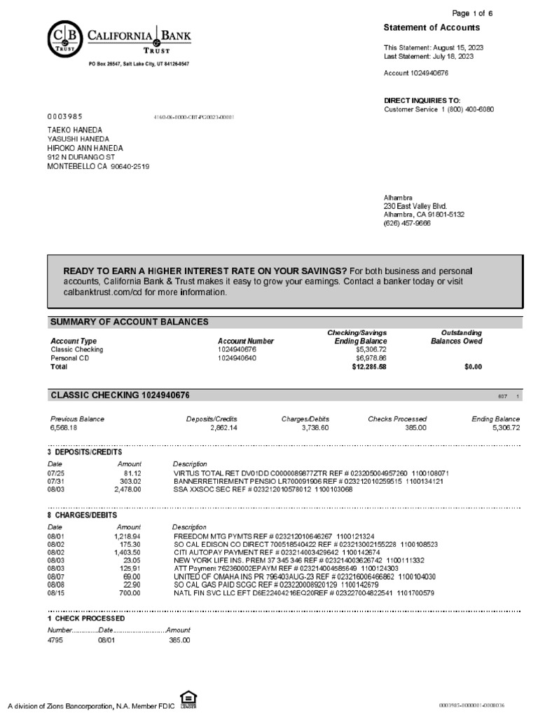 August 2023 Account Statement Summary | PDF | Overdraft | Deposit Account