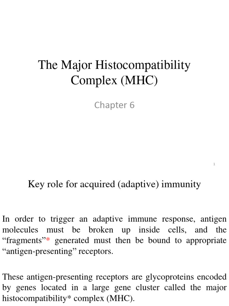 Chap. 6 | PDF | Major Histocompatibility Complex | Mhc Class I Chap. 6 | PDF | Major Histocompatibility Complex | Mhc Class I