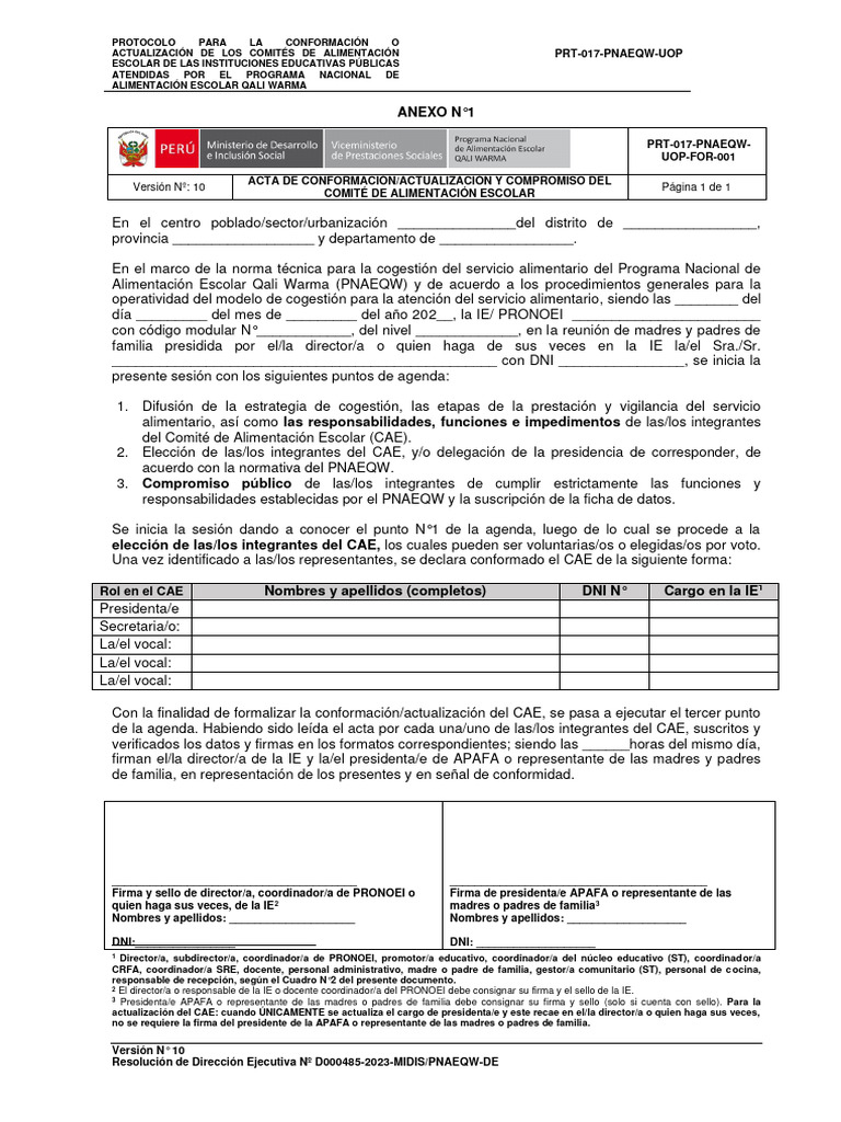 Formato de Conformacion Anexo 1 y 2 2024 | PDF | Perú