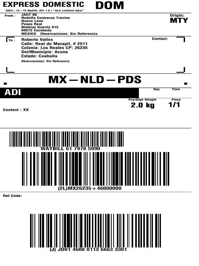 1874 DHL Express Domestic | PDF
