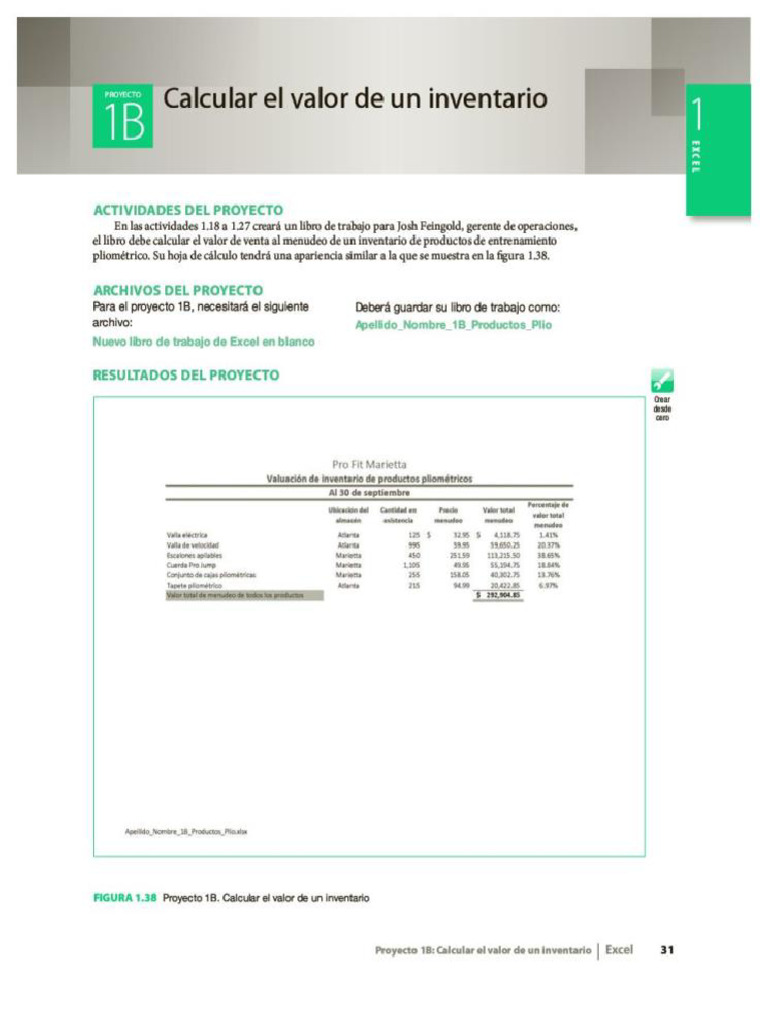 Microsoft Excel Proyecto 1B | PDF