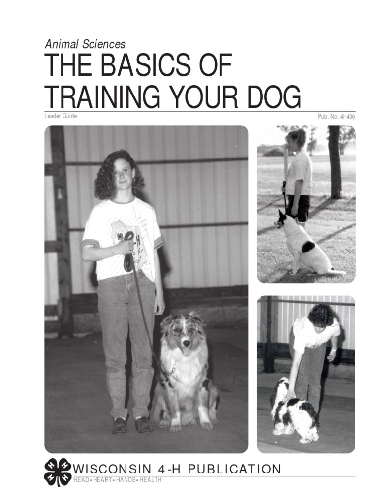 The-Basics-of-Training-Your-Dog | PDF | Subspecies Of Canis Lupus ...