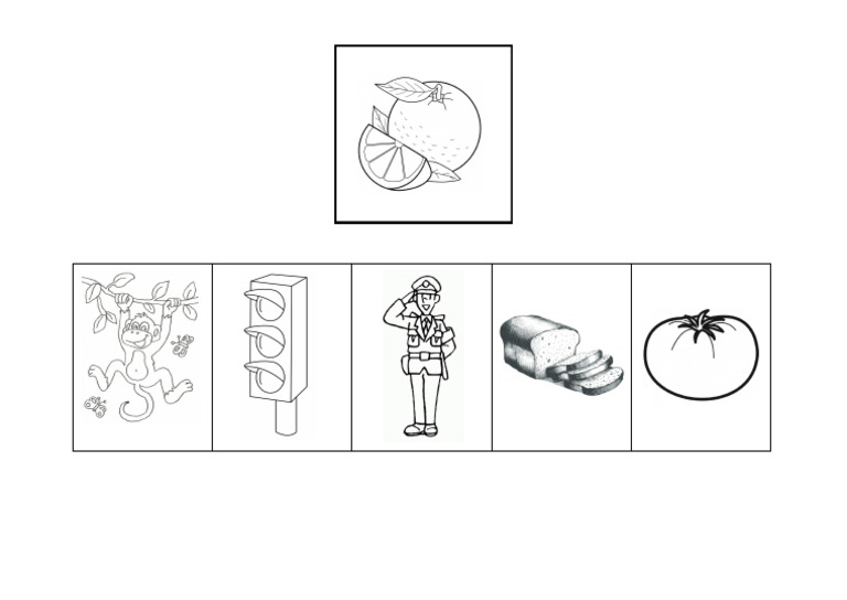 Lamina 1 Pecfo | PDF