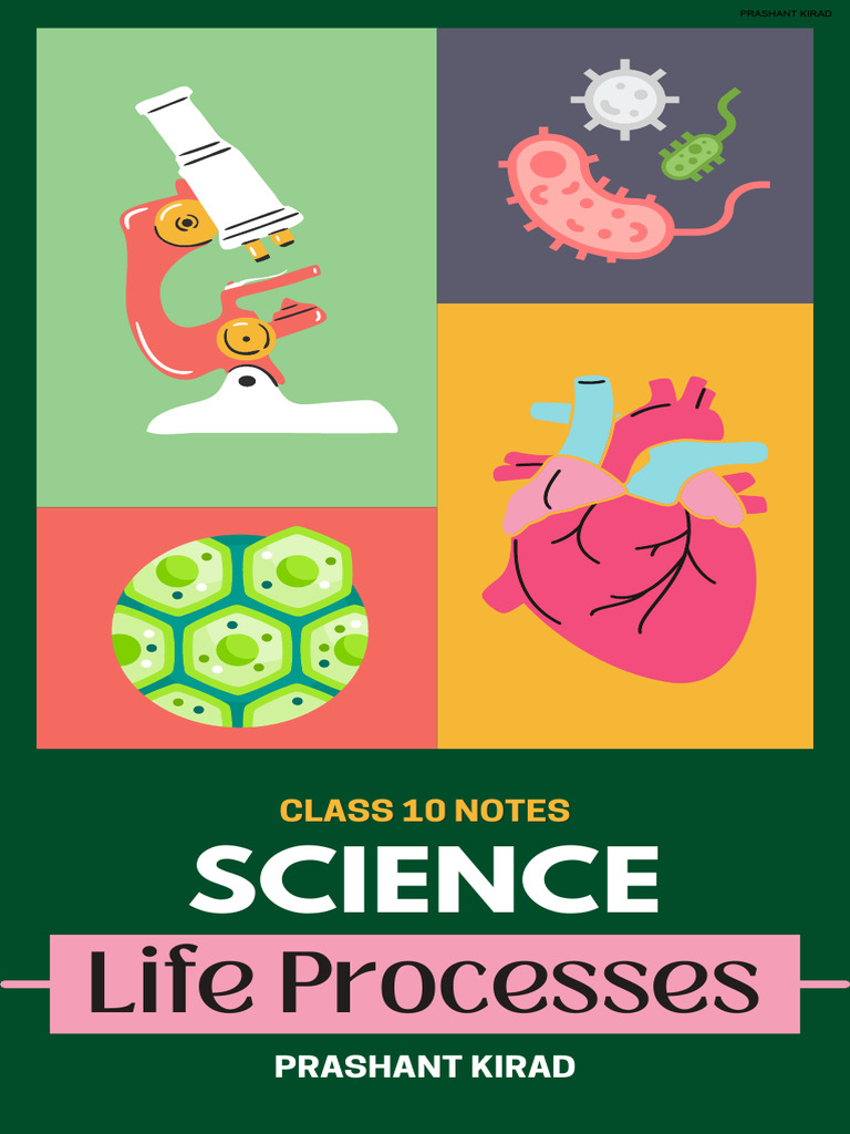 Life Processes (Prashant Kirad) | PDF