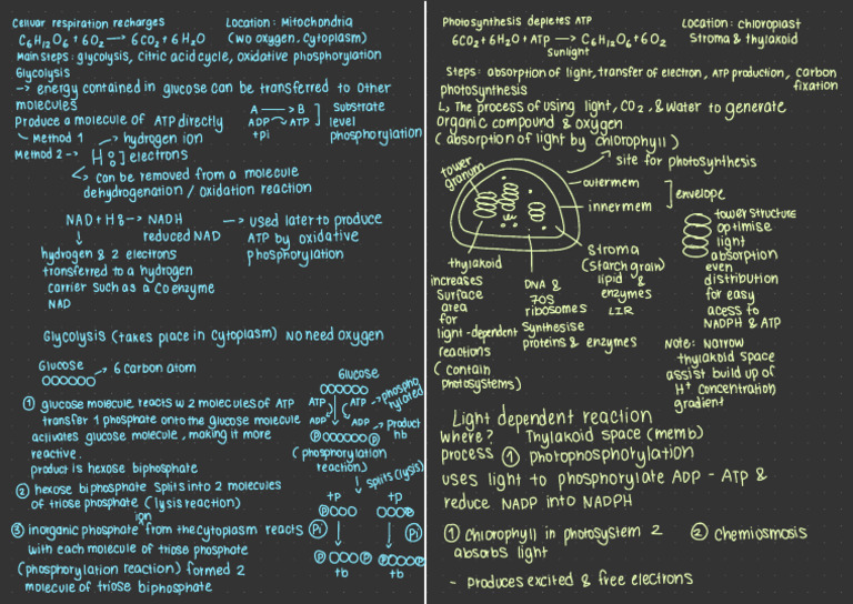 Untitled Notebook | PDF