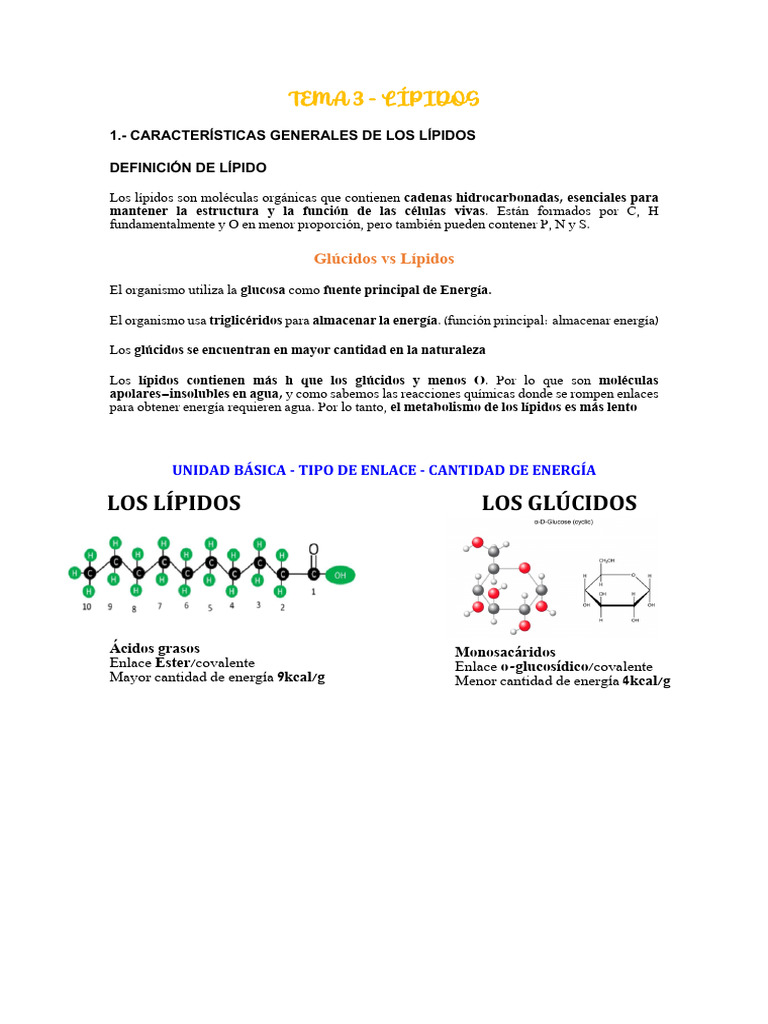 B2 - Tema 3 - Lipidos | PDF | gordo | Lípido