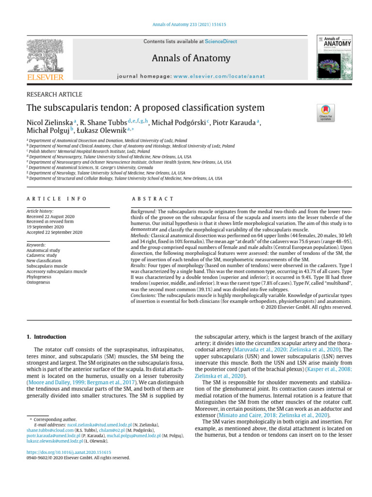 Tendon Del Subescapular - Sistema de Clasificación - Anatomía | PDF ...