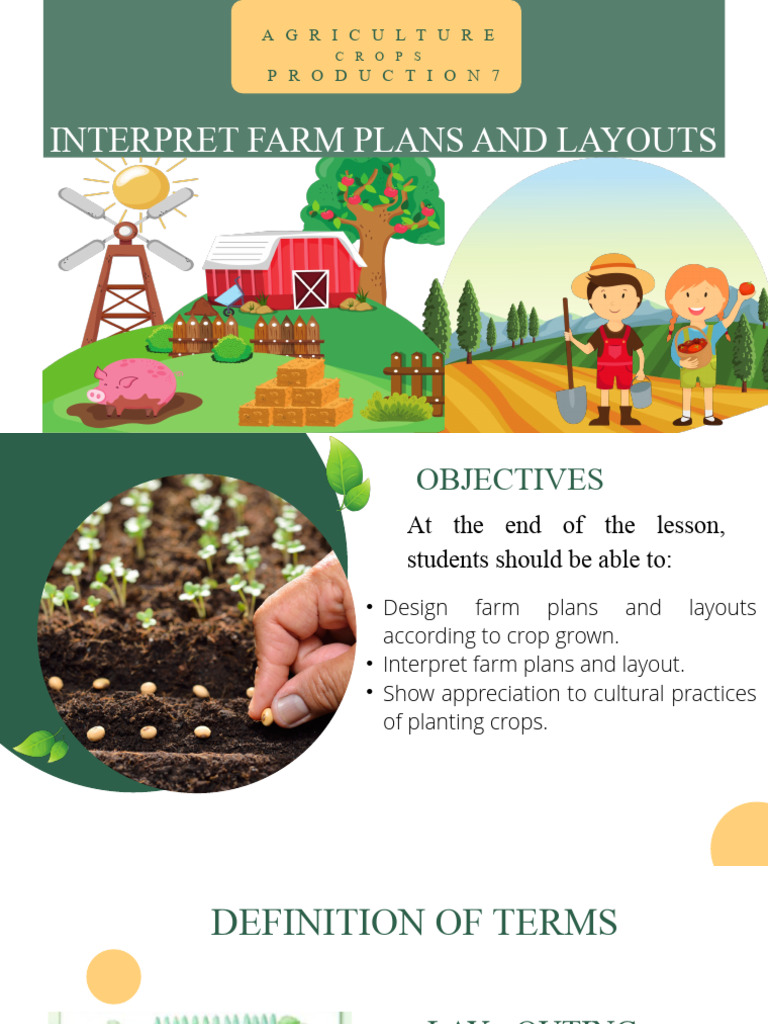 Farm Plans and Crop Layouts Guide | PDF | Sowing | Agriculture
